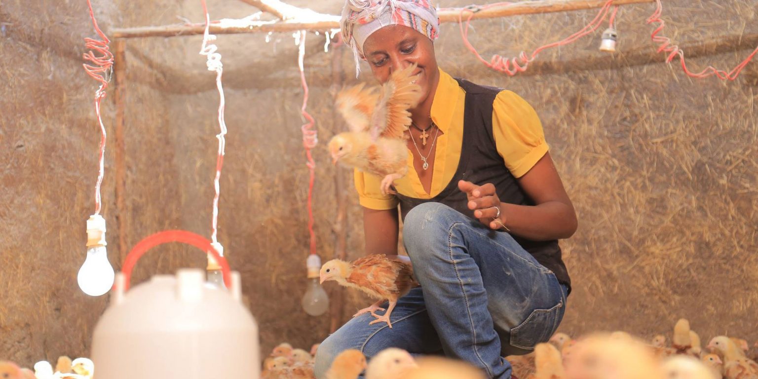 Ethio Chicken PLC - AECF