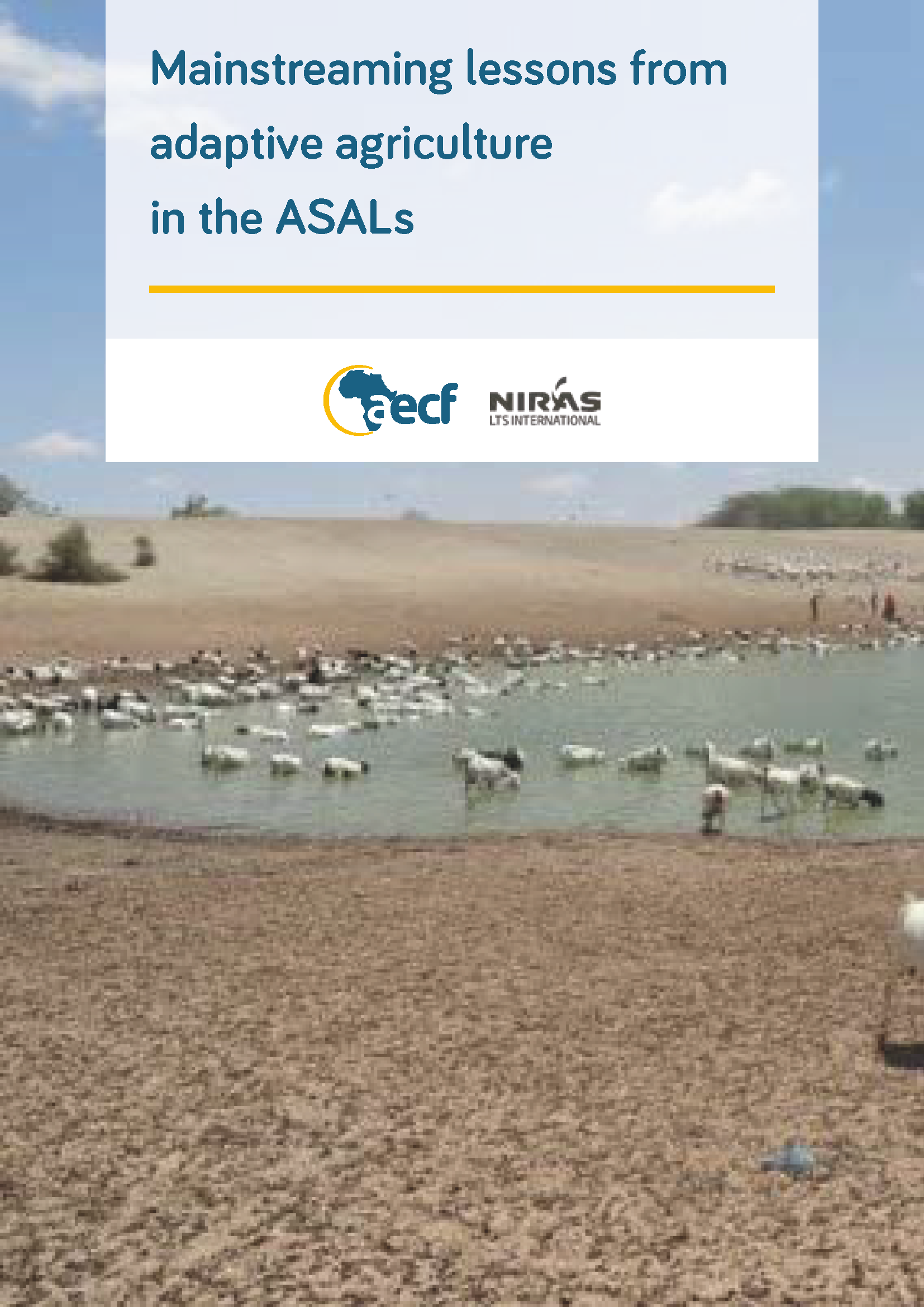 Mainstreaming Lessons From Adaptive Agriculture In The ASALs - AECF