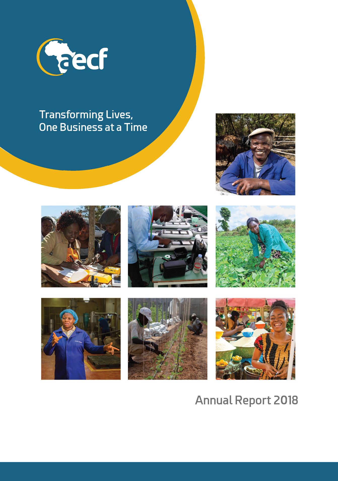 Creating opportunities for decent work in the AECF's agribusiness ...