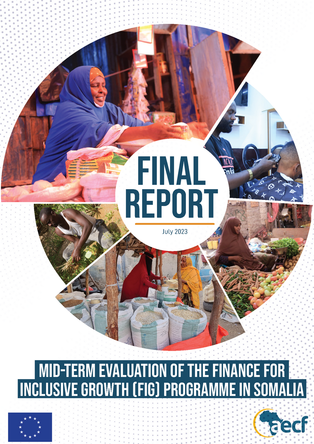 Finance for Inclusive Growth - Midterm Assesment - AECF
