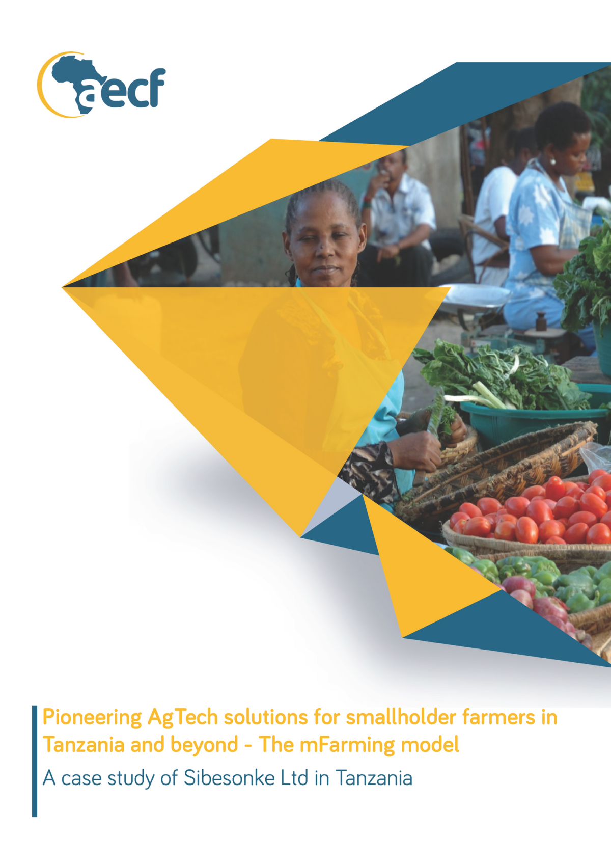 Pioneering ag-tech solutions for smallholder farmers in Tanzania and ...