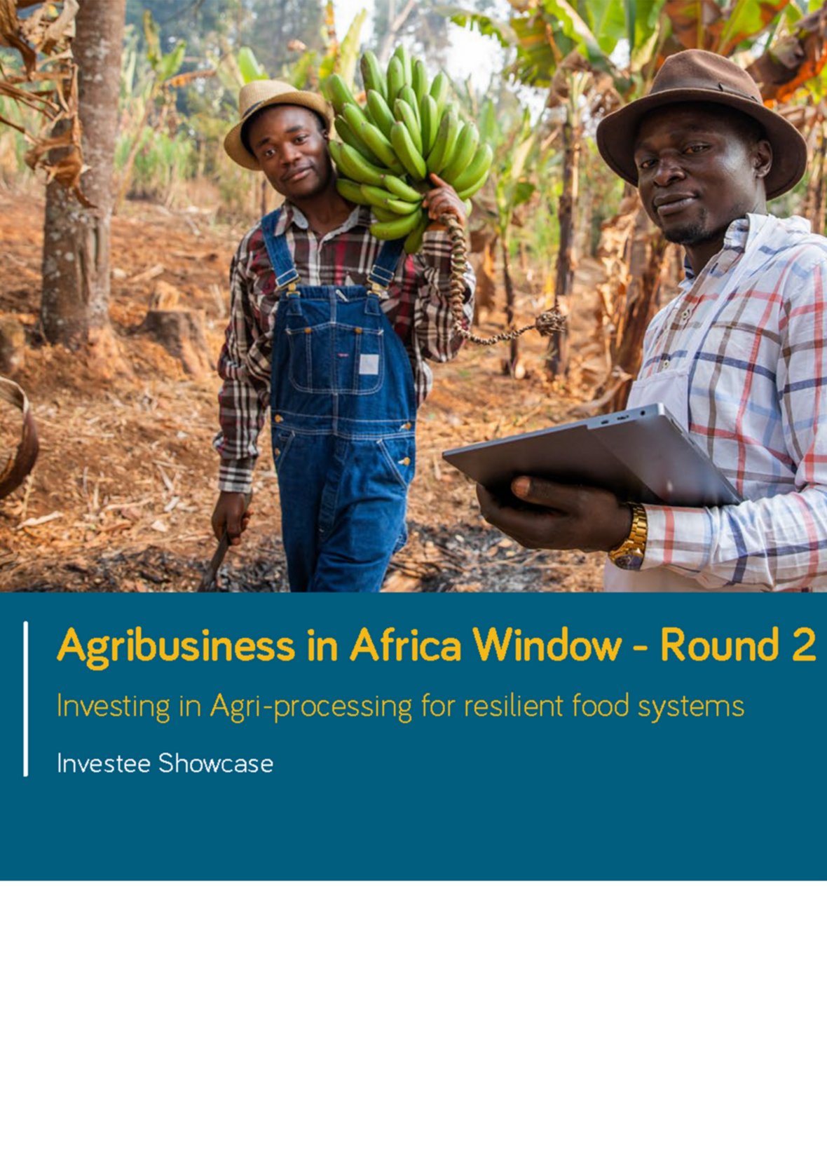Agribusiness in Africa Window - Round 2 investee showcase - AECF